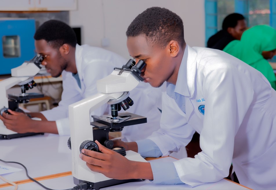 The International Paramedical Institute Maya